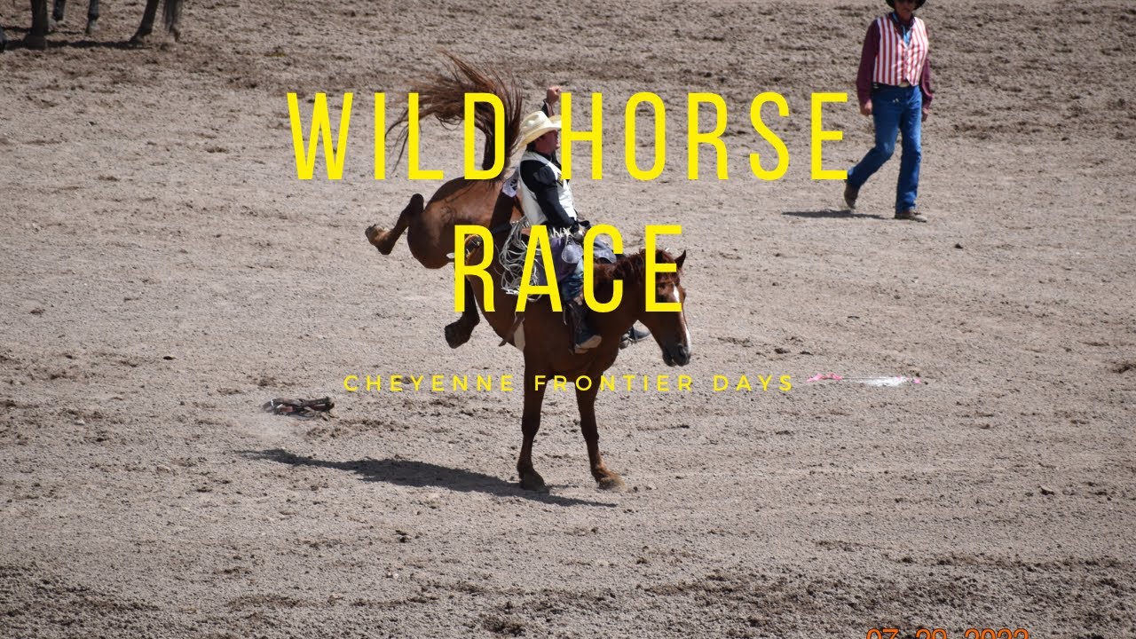 Cowboys are a different BREED. Wild Horse Race Cheyenne Frontier Days ...