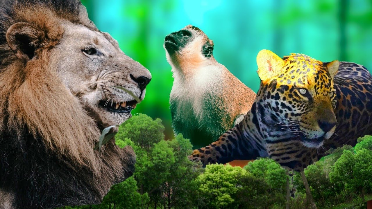 Discover the Most Majestic Animals of Trinidad - YouTube