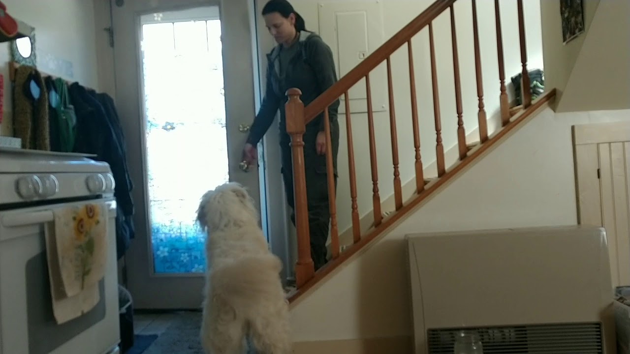 Bogey. Door dash. Part 1 of 3 - YouTube