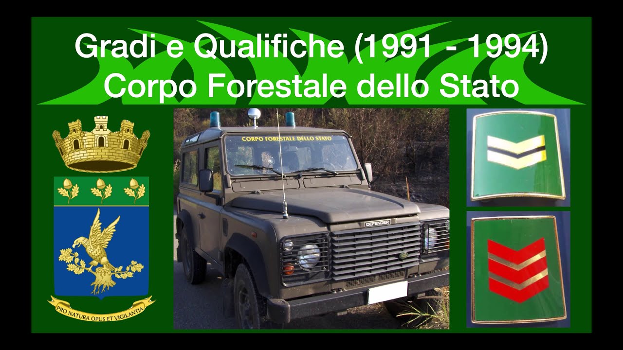 Corpo Forestale Stato Logo