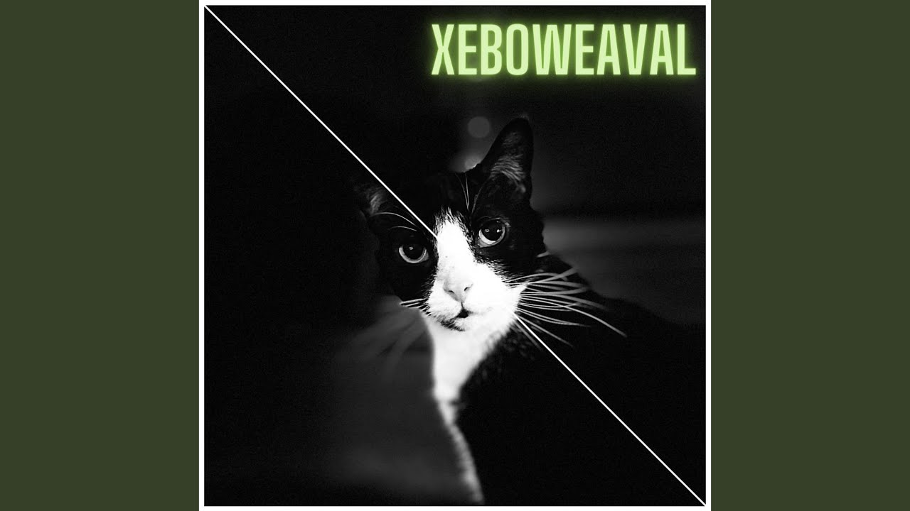 Tony spumoni - YouTube