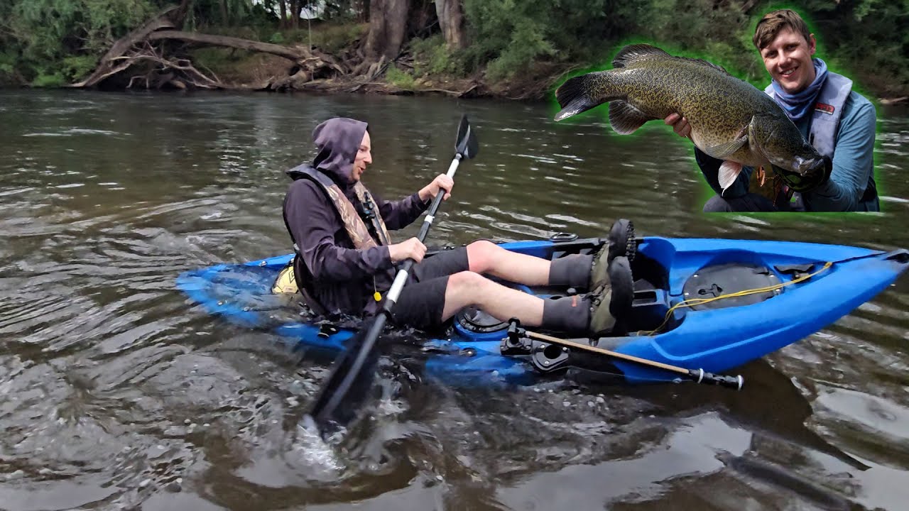His Kayak Sank - Murray Cod Fishing FRENZY - YouTube
