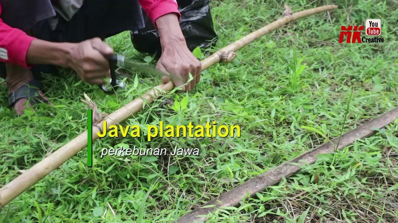 cara membuat perangkap burung paling simpel || MK Kreative - YouTube