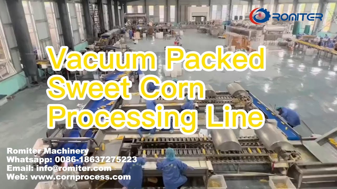 Vacuum Packed Sweet Corn Processing Line - YouTube