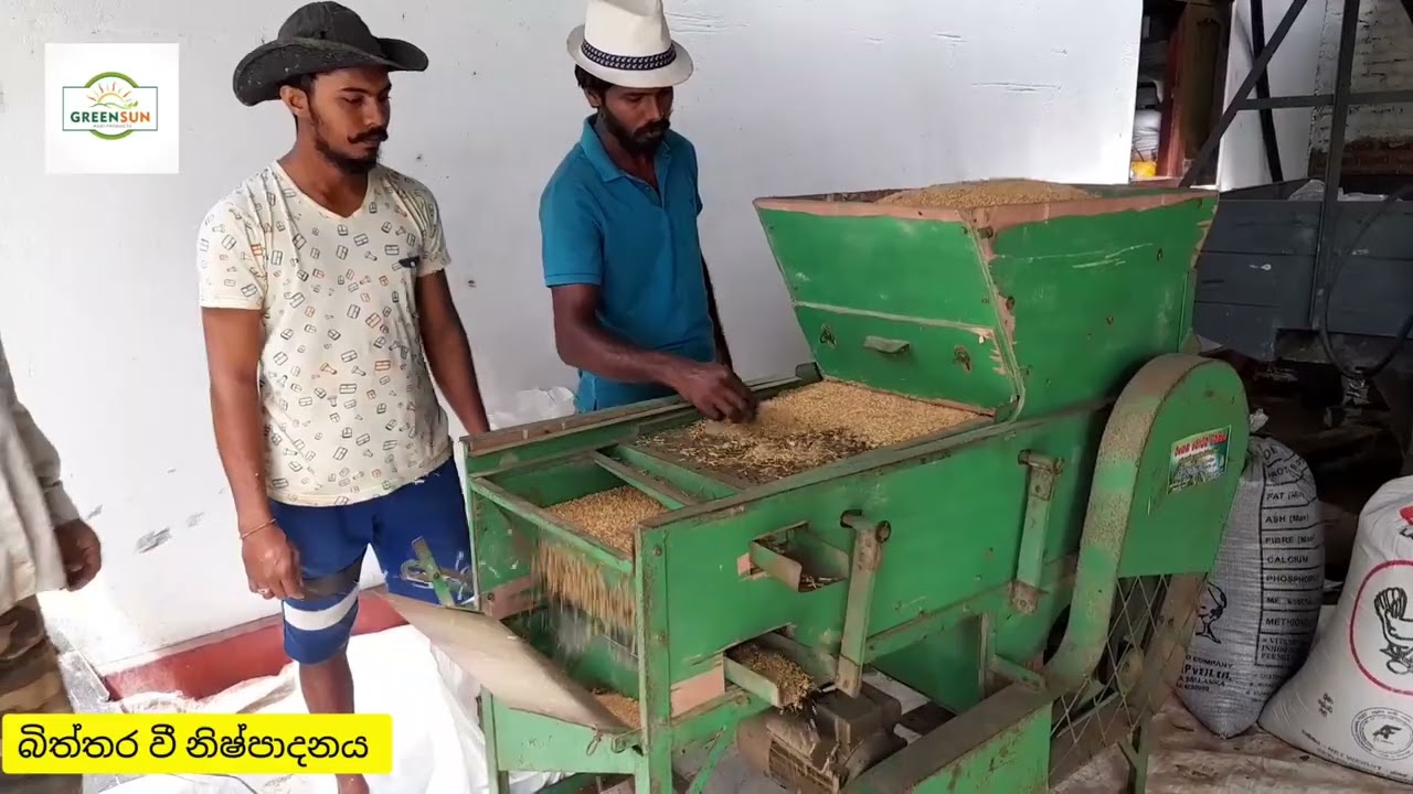 බිත්තර වී නිෂ්පාදනය Biththara vi nishpaadanaya - YouTube