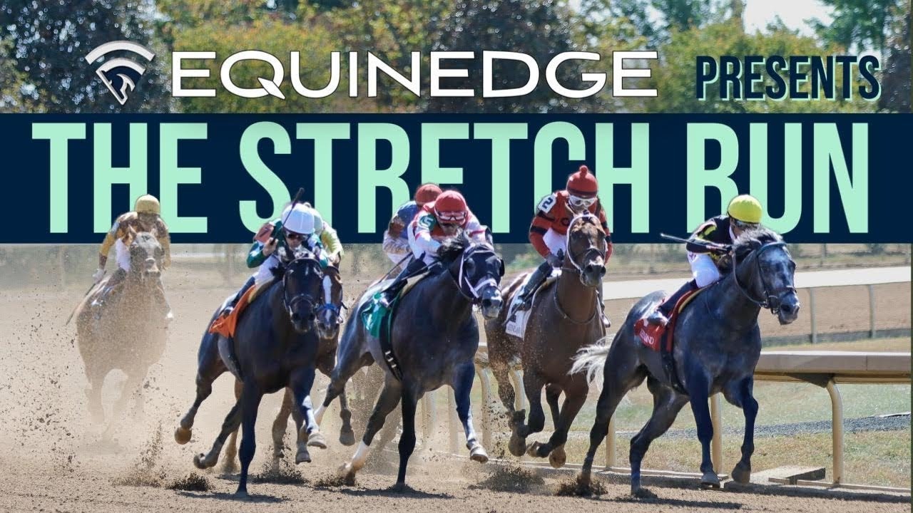 Live Racing! The Stretch Run: Fair Grounds - Gulfstrream - Aqueduct ...