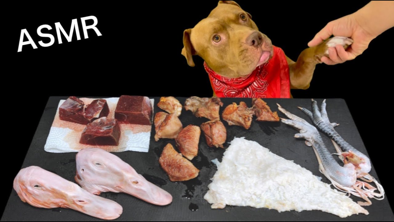 Satisfying And Relaxation with Chewing Sounds | ASMR MUKBANG Pitbull ...