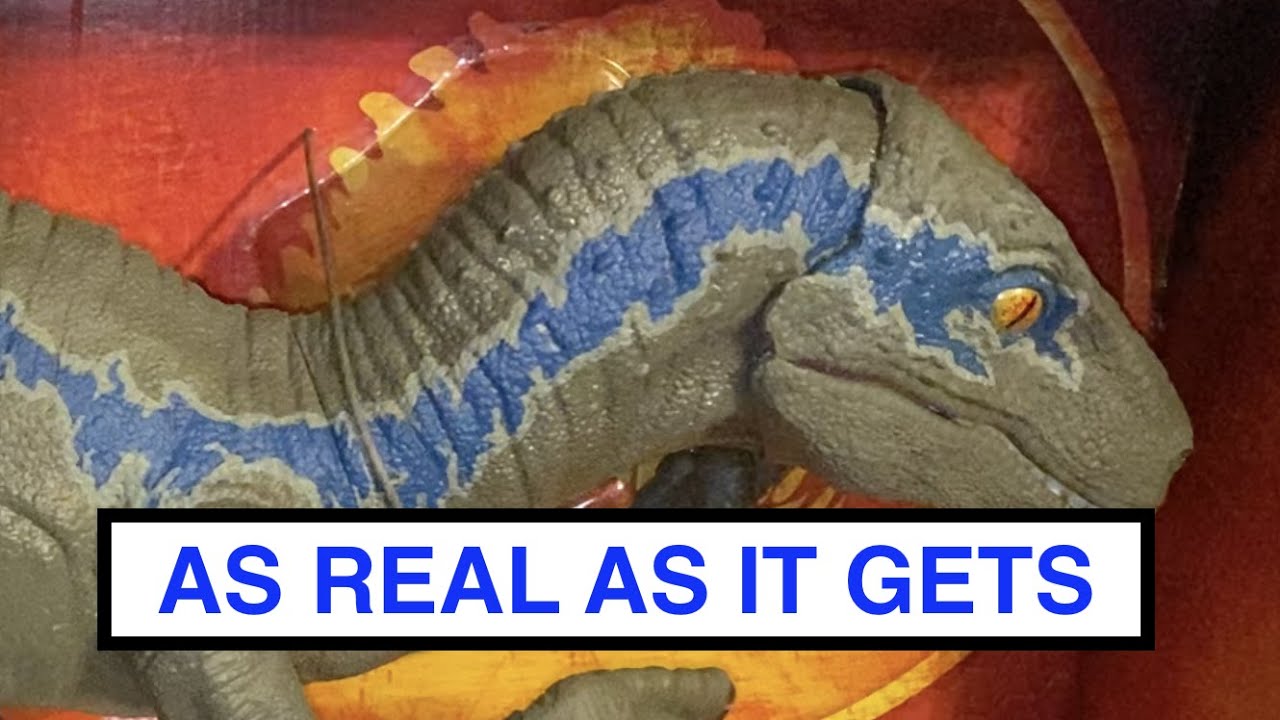 WHAT'S IN THE BOX!? JURASSIC WORLD SUPER COLOSSAL VELOCIRAPTOR BLUE ...