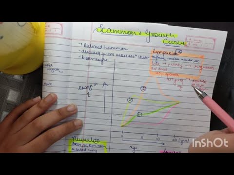Scammon's Growth Curve Orthodontics - YouTube