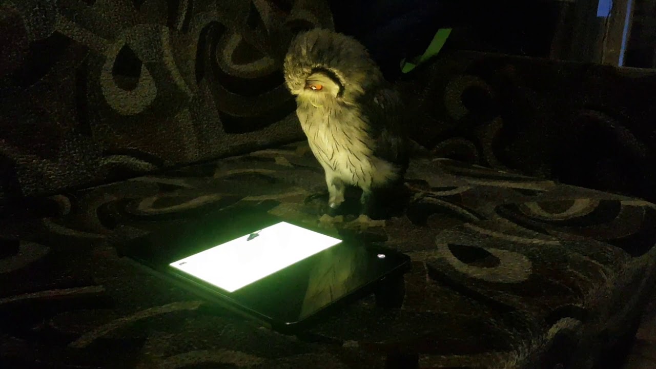 Chakky game - YouTube