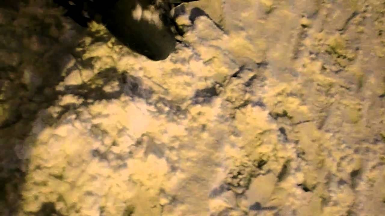 BuniBun - YouTube