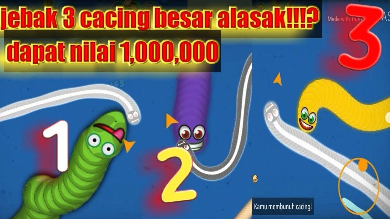 Cacing besar alaska: 3 kejebak #1 - YouTube