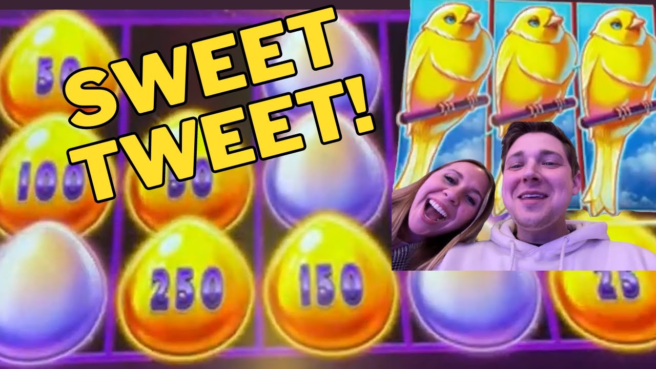 Ever wonder what Full screen of sweet tweets pay!? :) - YouTube