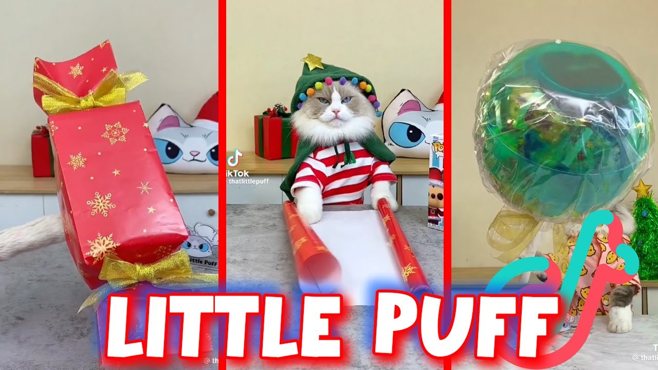 That Little Puff | COMEDY TIKTOKS | CHRISTMAS - YouTube