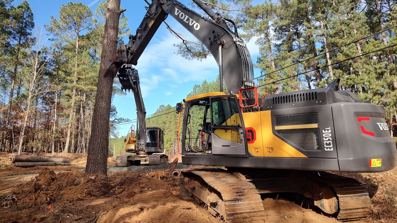 This One Was Tricky! Big Tree Clearing Beside The Road - YouTube