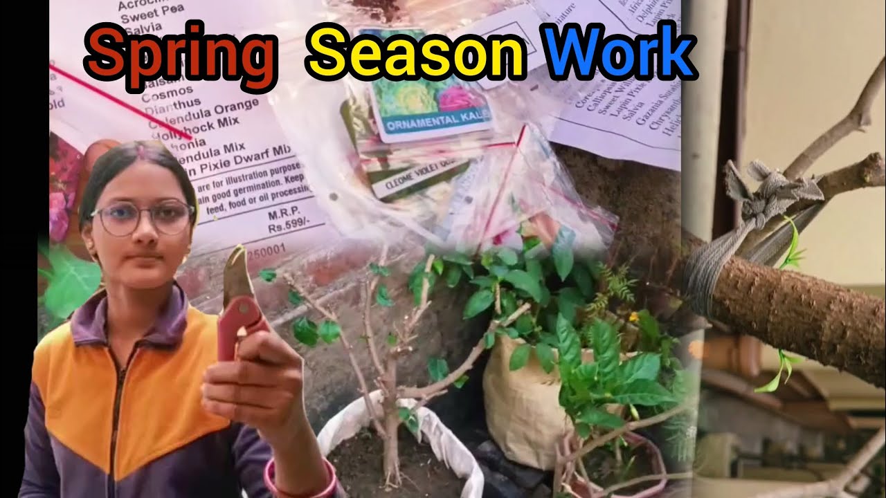 spring season work 🪴 - YouTube