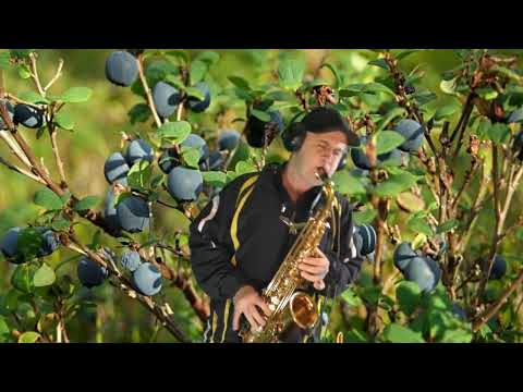 Лесоповал - Голубика ( cover by Amigoiga sax )