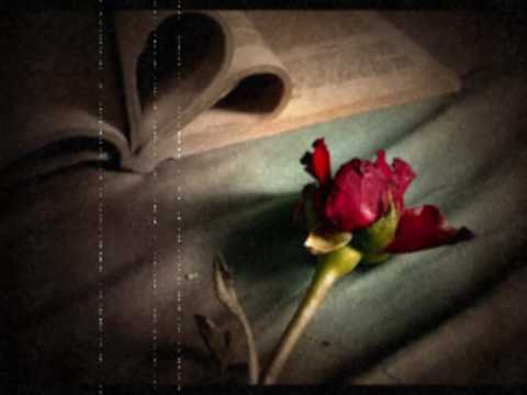 Zeynep Dizdar - Yüregimdeki Yagmurlar 2005