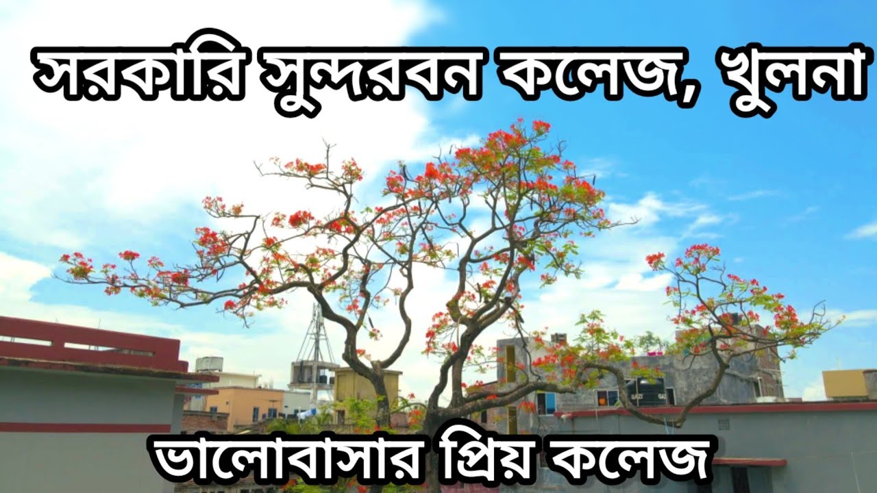 সরকারি সুন্দরবন কলেজ খুলনা | #Film_By_Shams | Drone view of sundarban ...