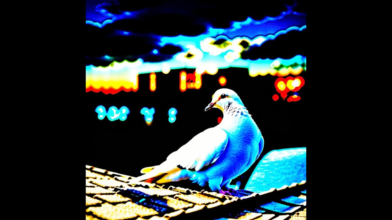 Holy Bible: Book of Job NLT Live Reading PT 1 - YouTube