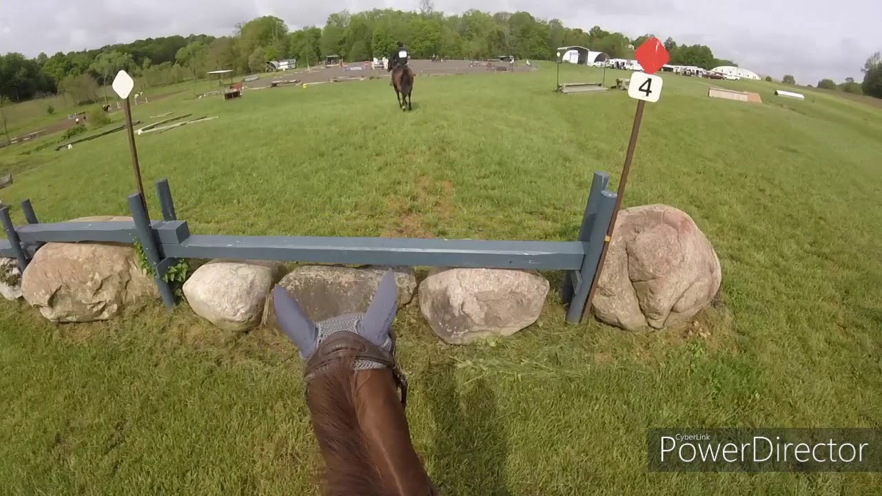 Henry's First Hunter Pace @ Stone Gate Farms - YouTube