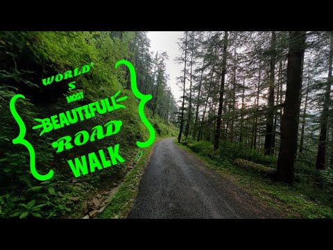 most beautiful road of world I Shimla I Hassan valley I Gawai to ...