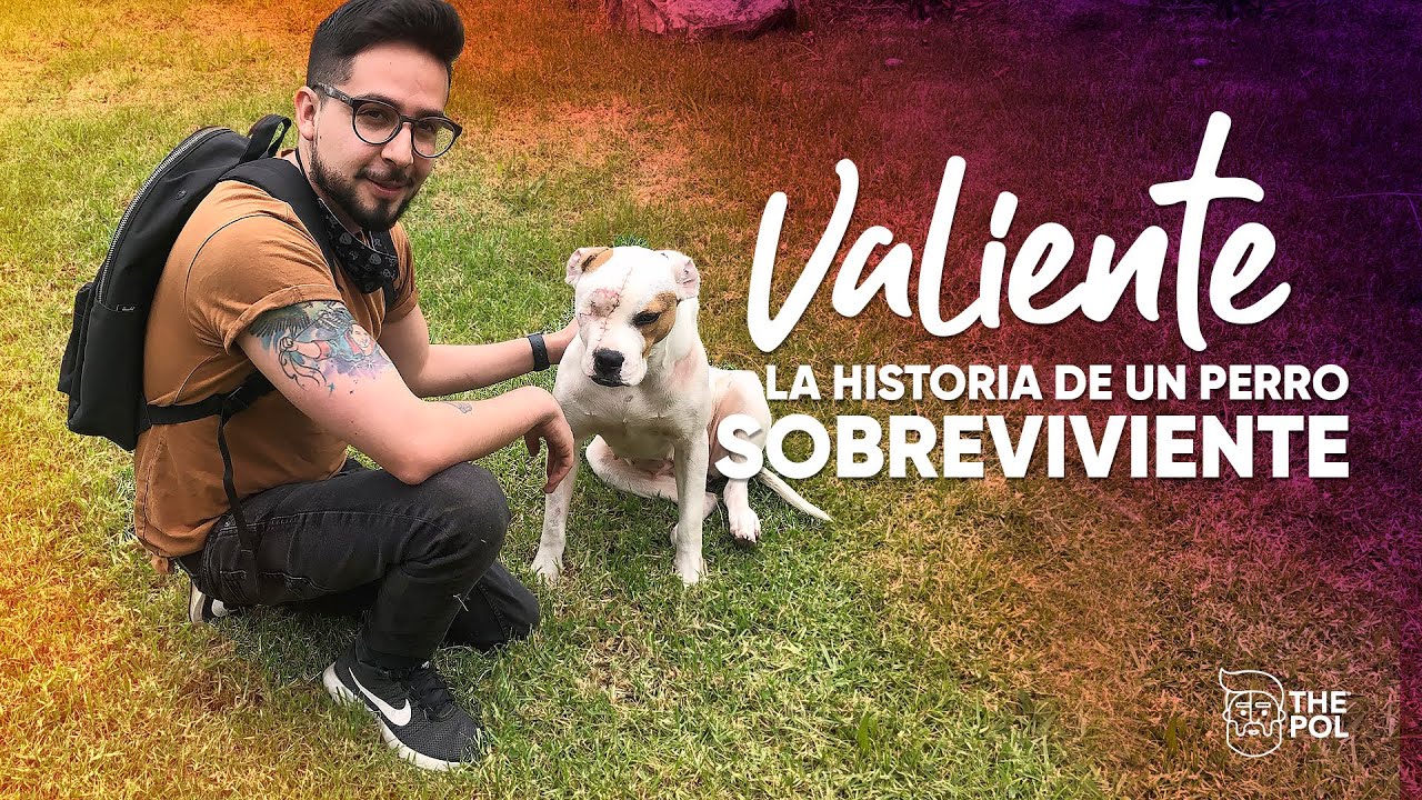 Conoce la historia de Valiente - YouTube