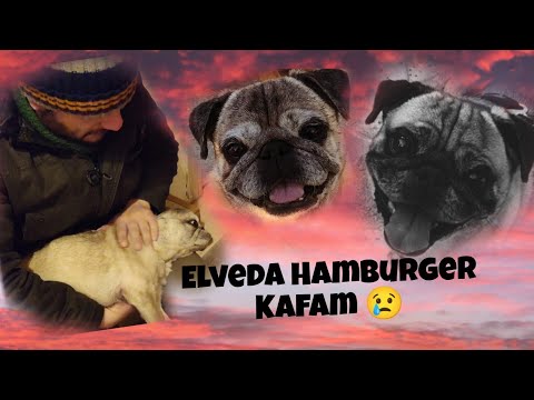Tayyar Öldü.Oğluma Veda Ediyorum.Işıklar İçinde Uyu Hamburger Kafam 😢