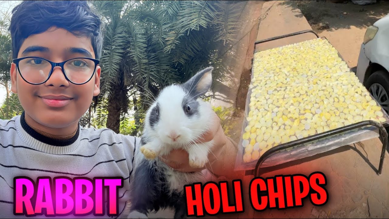 Home for the First Time! Rabbits🐰 | Holi Chips EP1 | #51 vlog - YouTube