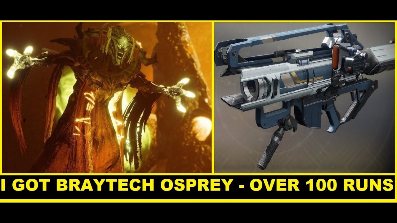 Destiny 2 - I Got Braytech Osprey - More Than 100 Runs !!! - YouTube