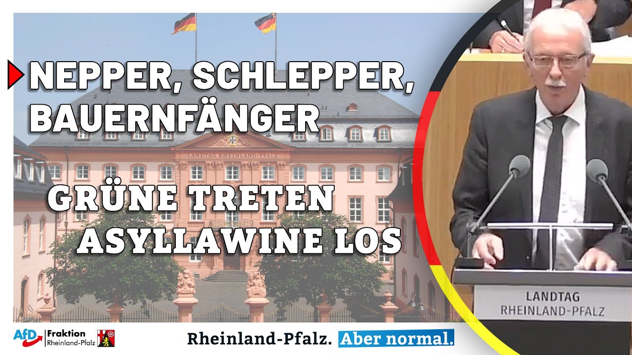 Nepper, Schlepper, Bauernfänger. Grüne treten Asyllawine los! - YouTube