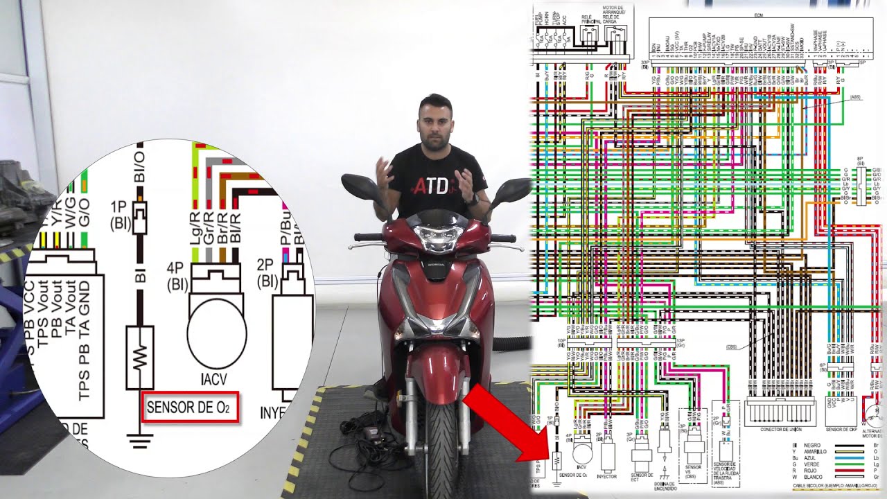 DTC P1502 en Honda SH125i. - YouTube