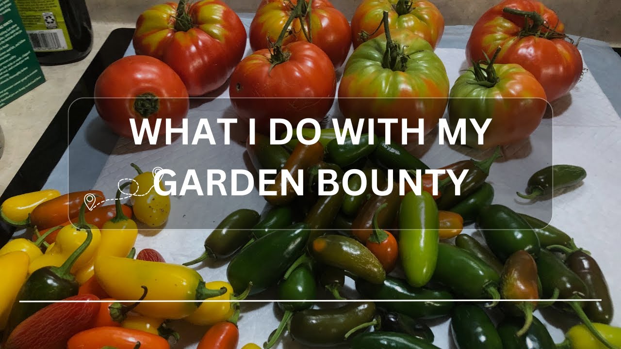 How do I Preserve My Garden Bounty? - Peppers, Beans, cherry tomatoes ...