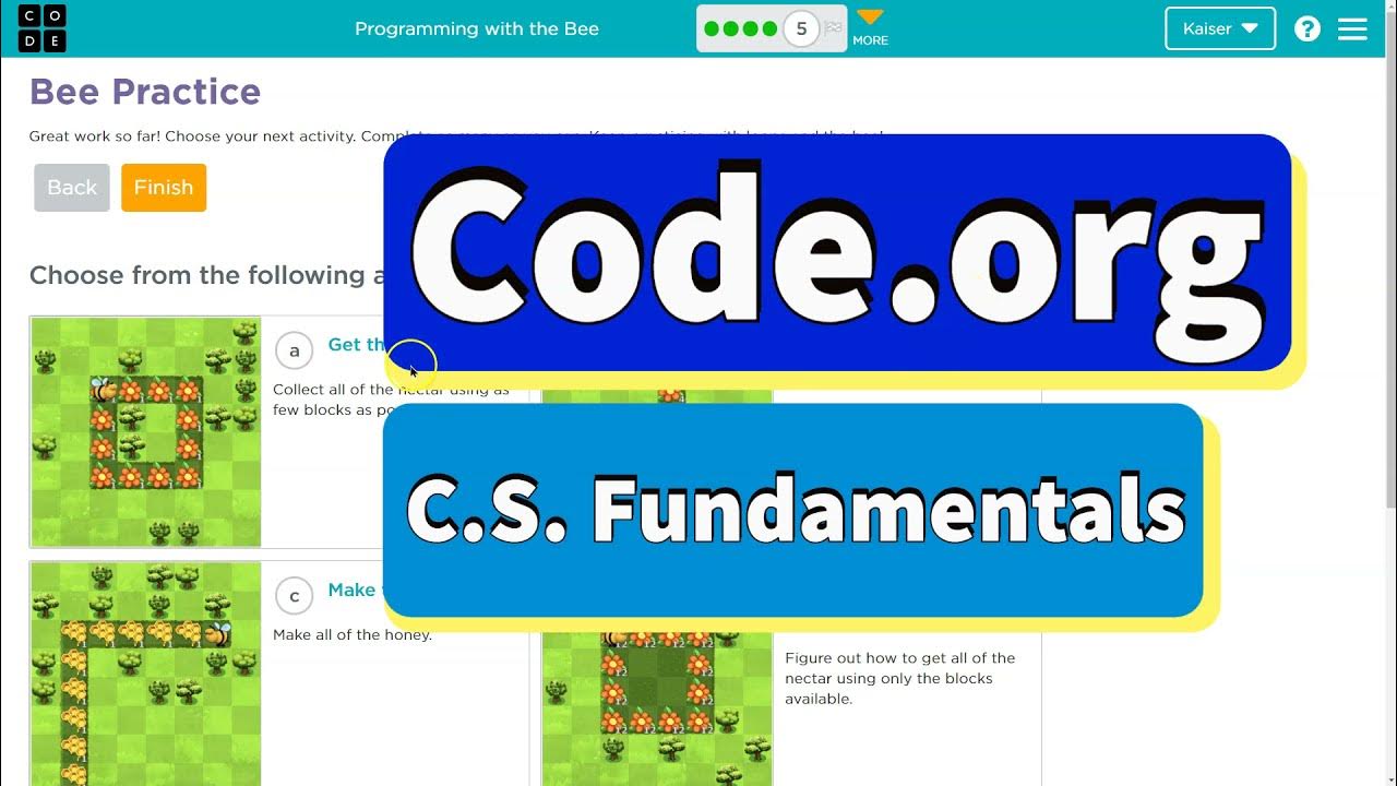 Code.org Course F Lesson 11 Programming with the Bee | All Practice ...