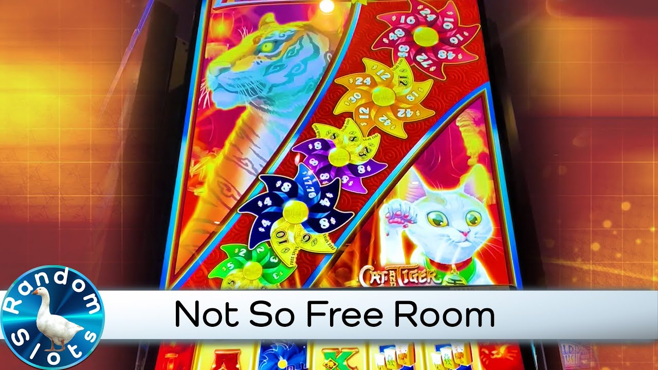 Cat and Tiger Slot Machine Bonus and the Free Room - YouTube