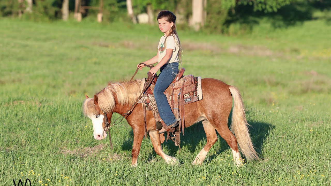 Tinkerbell - YouTube