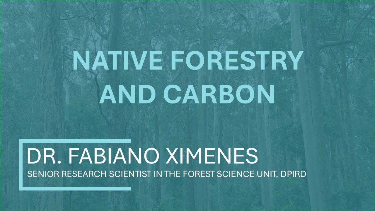Native Forestry and Carbon - YouTube