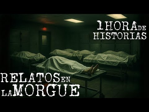 1 HORA DE RELATOS EN LA MORGUE VOL.5  | ESPECIAL DE 250K SUSCRIPTORES | HISTORIAS DE TERROR