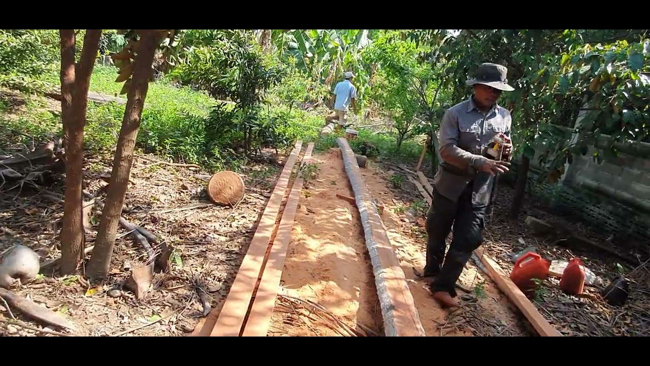 Stihl Chainsaw Wood cutting Machine felling Coconut tree11 - YouTube