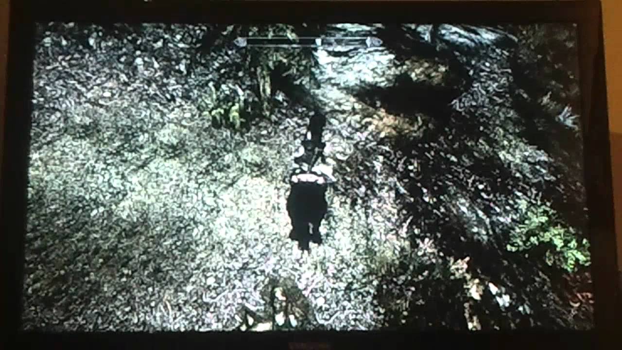 Skyrim Texture Bug (On TV) - YouTube