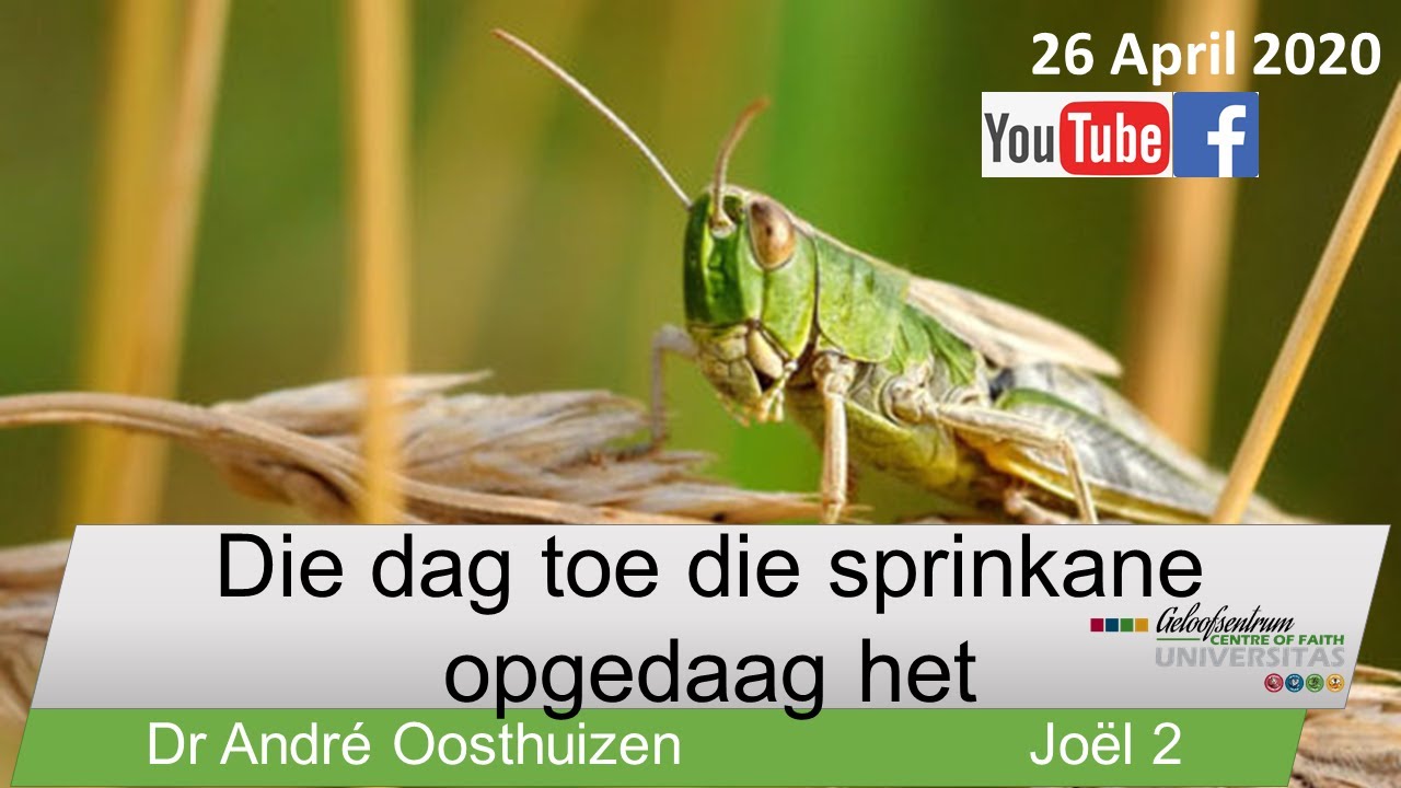 Die dag toe die springkane opgedaag het - Dr. André Oosthuizen - YouTube