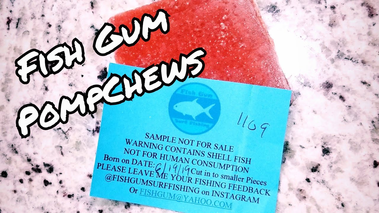 Fish Gum Pomp Chews - YouTube