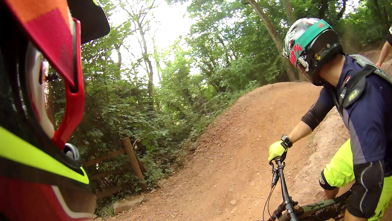 Ron hugging a tree - YouTube