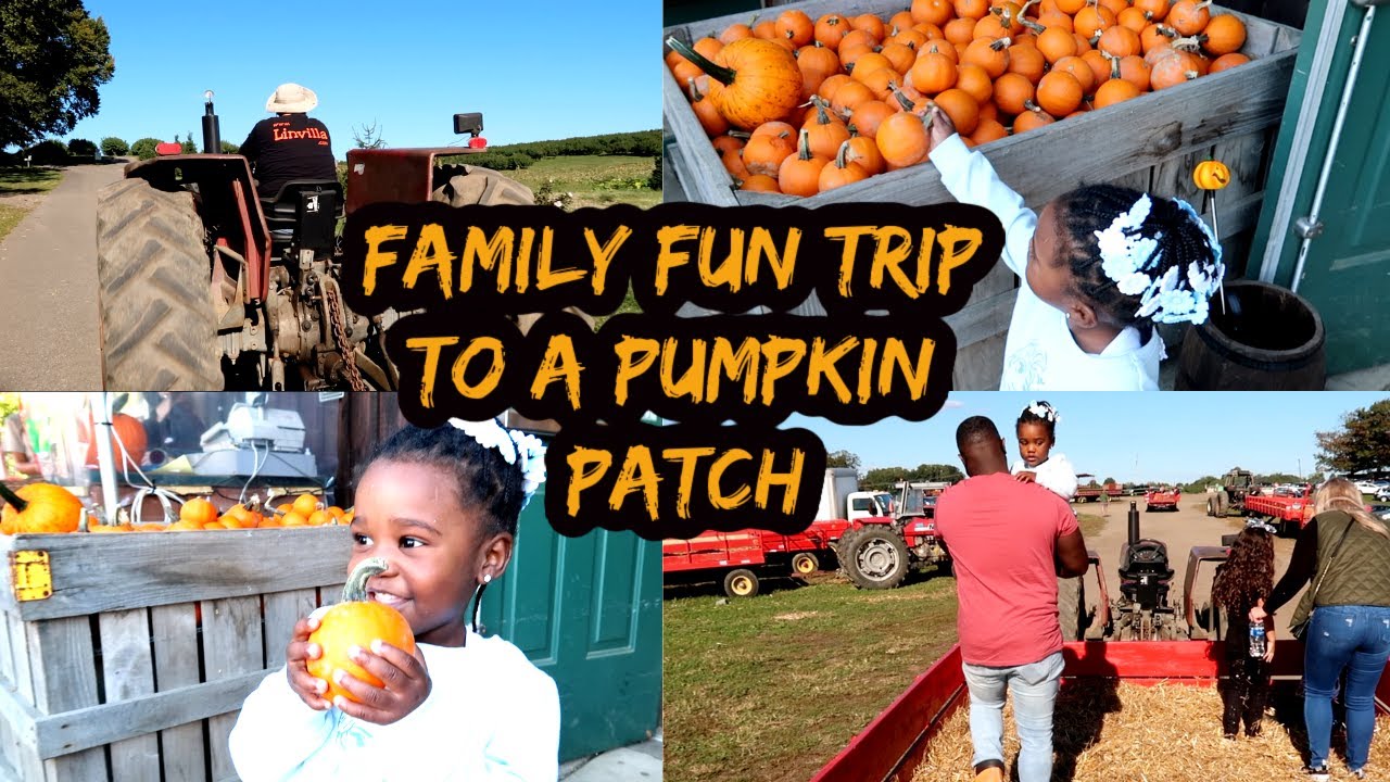 OUR TRIP TO LINVILLA ORCHARDS | VLOGTOBER DAY 3 | Pumpkin Patch, Hay ...