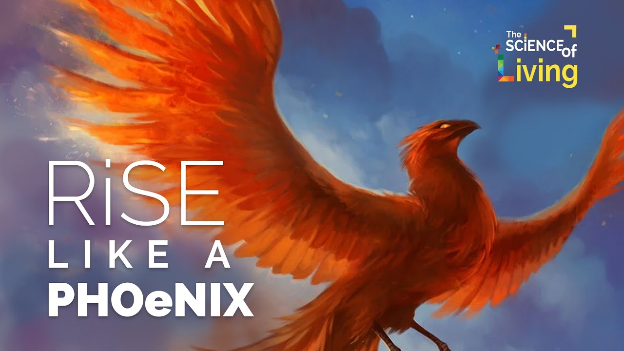 Rise Like a Phoenix (The Science of Living: Episode 13) - YouTube