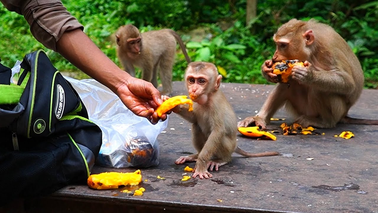 Rainbow & Libby got fruit & milk before they are going bed - YouTube