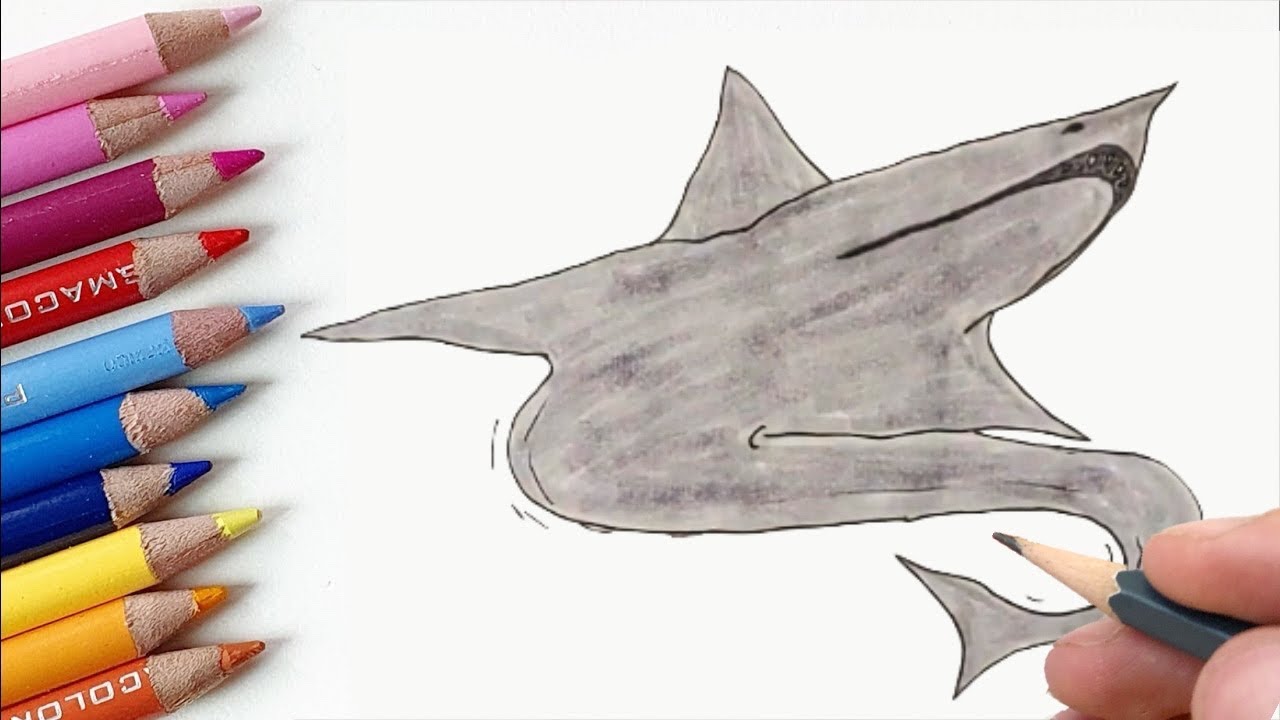 How to draw Aircraft Shark (RANDOMstuff Animations) - YouTube