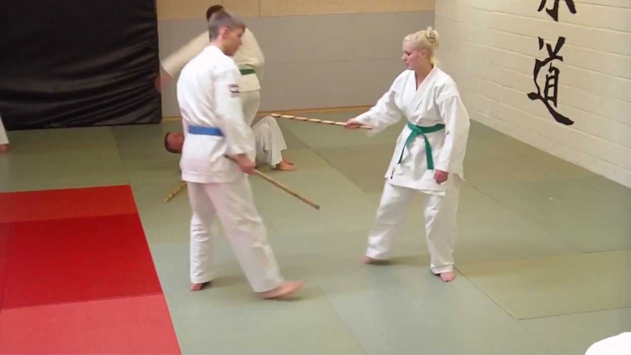 International Ju-Jitsu Seminar in Denmark - YouTube