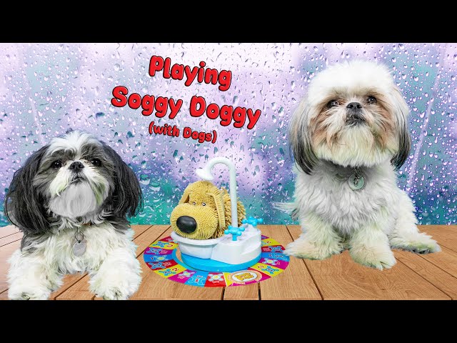 Assistant Plays Soggy Doggy Game with Dogs Wiggles and Waggles - Videos ...