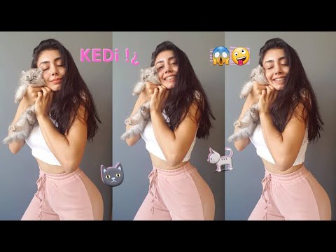 KEDİ KORKUMU NASIL YENDİM? | ANNE OLDUM 😍🐈